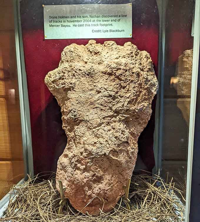 This plaster cast proves someone, or something, has been leaving impressively large footprints around Mercer Bayou.