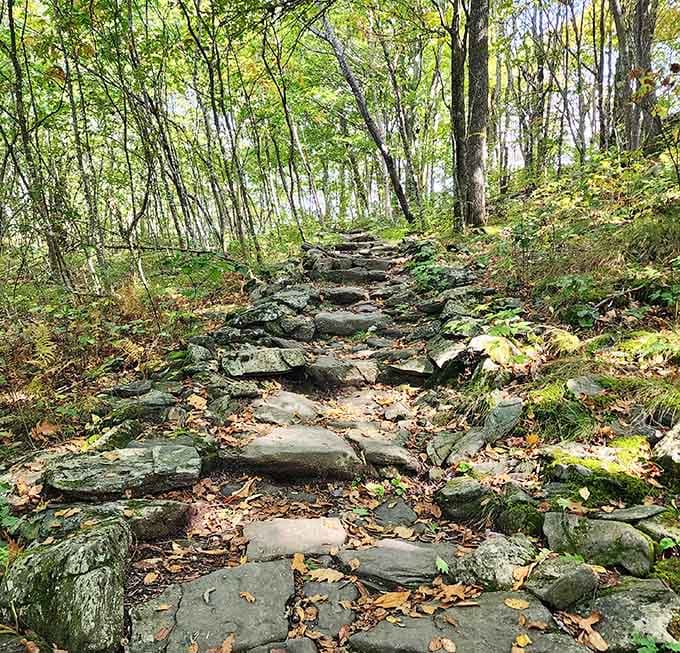 Stone steps that make you feel like you're climbing an ancient stairway to somewhere truly magical.