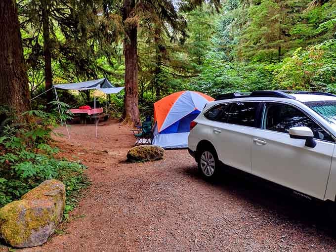 Car camping done right, where moss-covered rocks are your neighbors and the trees provide natural air conditioning.