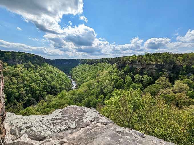 The canyon stretches out like nature's own amphitheater, minus the overpriced concessions and terrible parking.