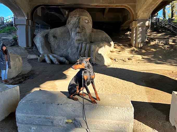 Even the neighborhood dogs have made peace with their giant concrete neighbor over the years.
