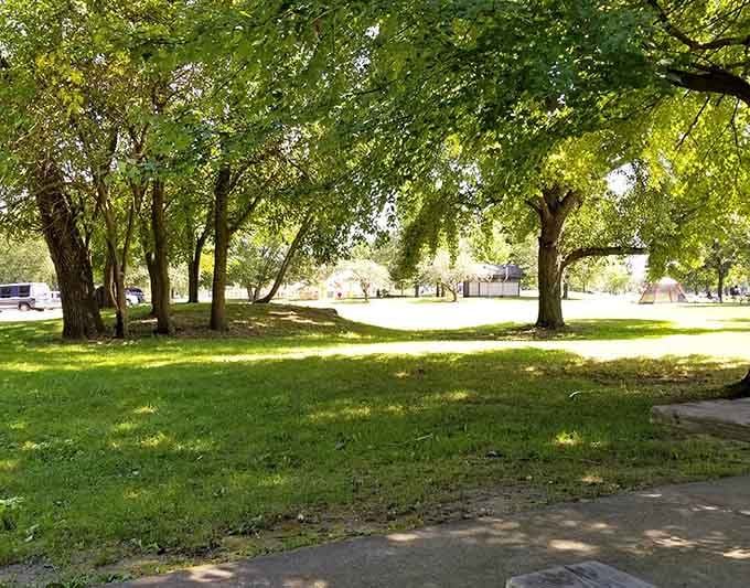 Lake Etta County Park: where the grass is actually greener and the apocalypse took a day off.