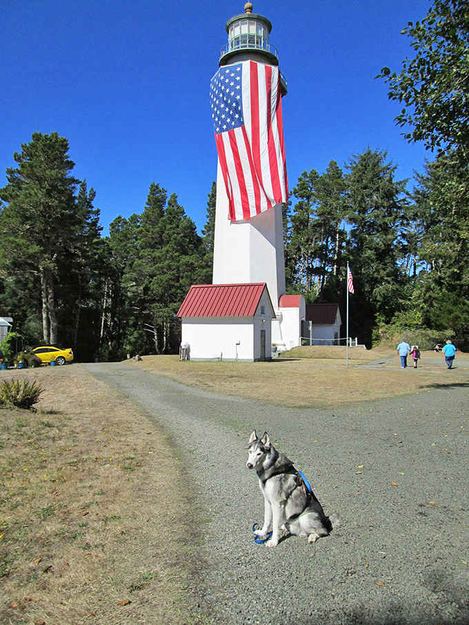 That massive American flag draped down the tower transforms this historic beacon into a patriotic statement visible for miles around.