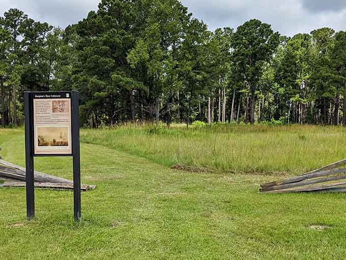 Where rice fields once stretched endlessly, nature reclaims the land that witnessed generations of untold stories and hard labor.