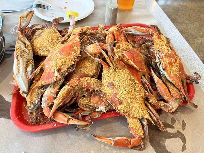 Behold the main event: steamed crabs dusted with Old Bay like edible treasure waiting to be discovered.