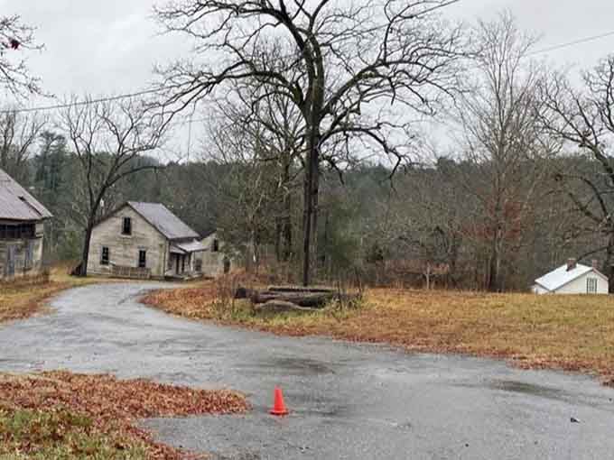 That lonely orange cone guards absolutely nothing, which somehow makes it the perfect symbol for this forgotten place.