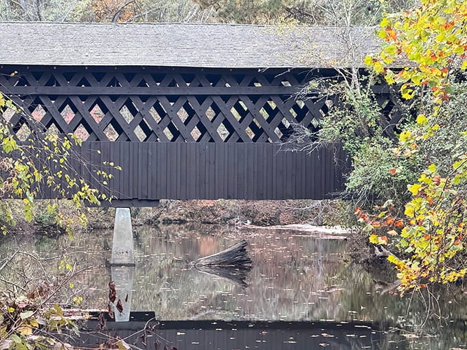 Autumn transforms the bridge into a postcard-worthy scene that'll make your Instagram followers actually stop scrolling for once.