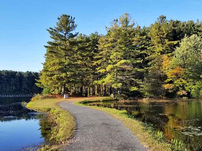 A peaceful path winds through Ashley Reservoir, inviting contemplation and maybe a leisurely stroll.