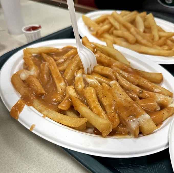 Gravy-drenched fries that make you wonder why anyone bothers with ketchup when this golden option exists.