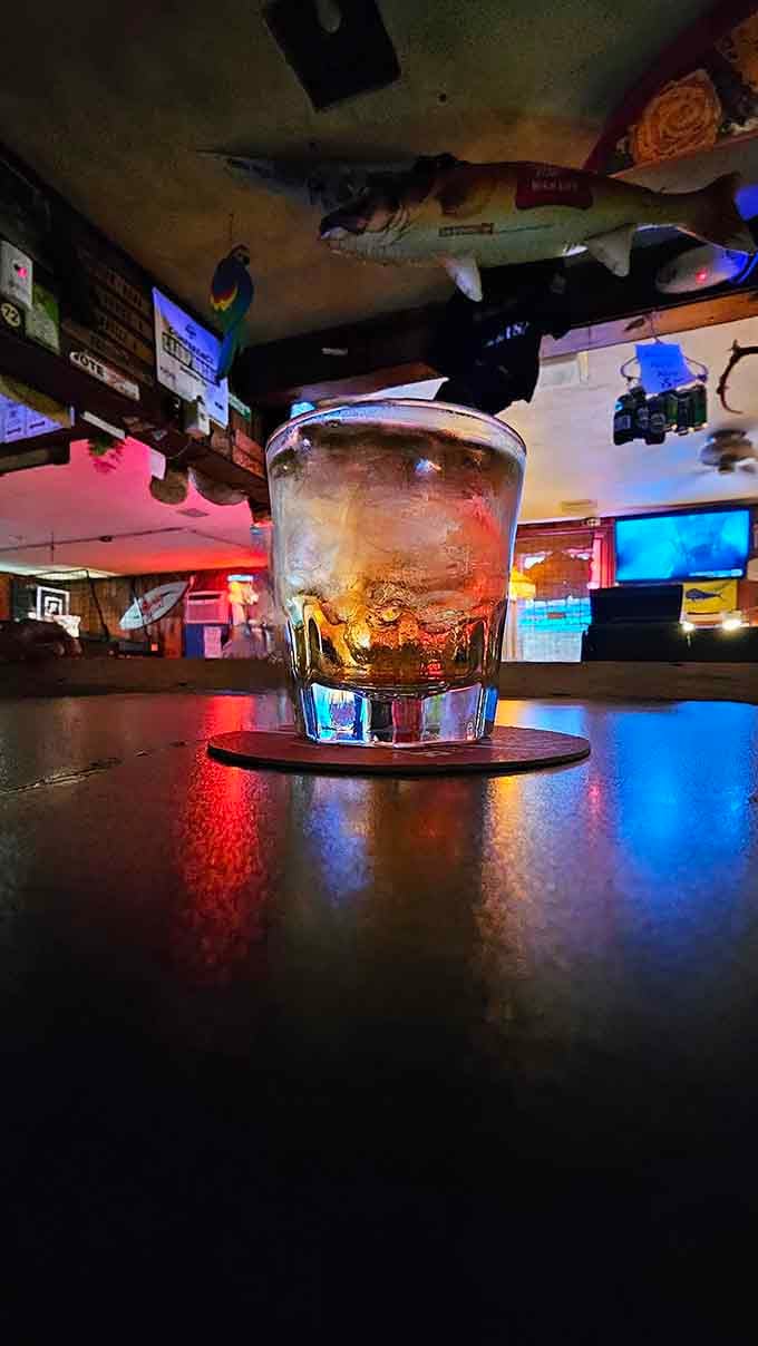 That bar-level view where every drink looks like a work of art, even when it's just honest booze.