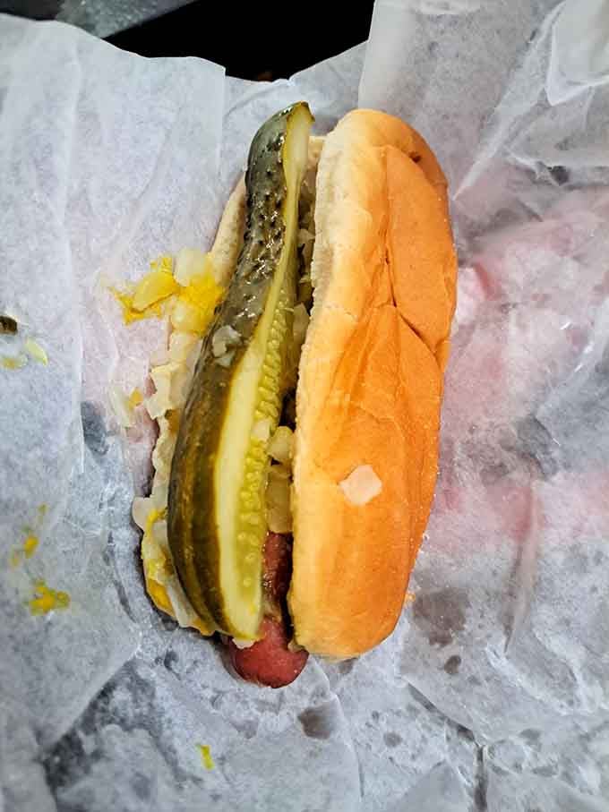 A proper Chicago dog in all its glory, proving that more is definitely more when done right.
