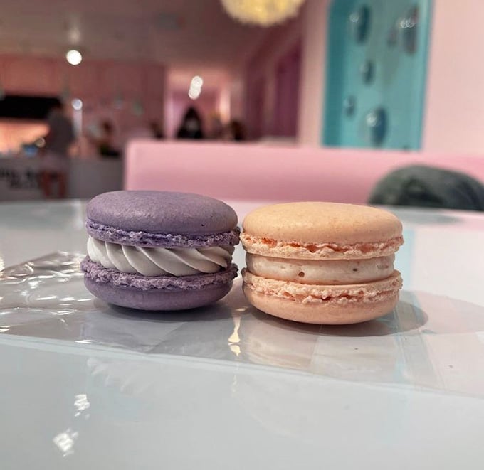 French macarons in lavender and peach prove that sophistication and cat cafes aren't mutually exclusive concepts after all.
