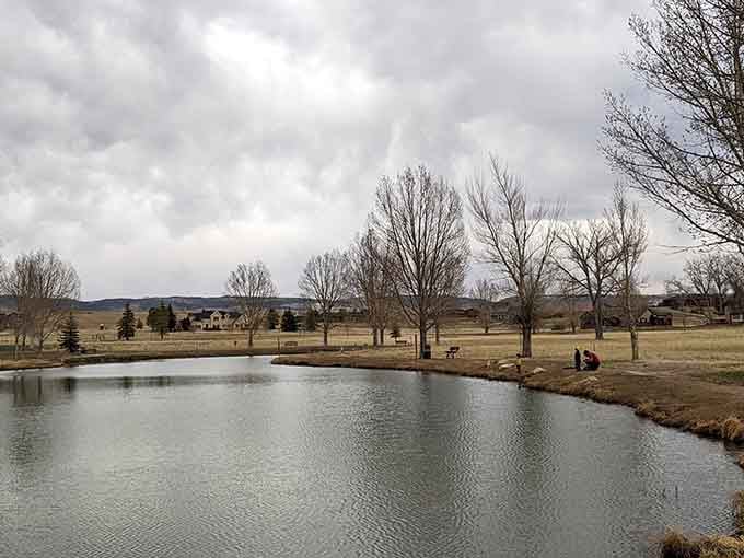 Towering evergreens stand sentinel in LaPrele Park, creating nature's cathedral where the only admission fee is taking a moment to breathe deeply.
