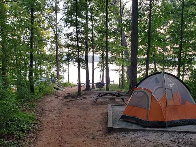 Campsites nestled among trees offering lake views that transform ordinary tent sleeping into five-star wilderness accommodations nightly.