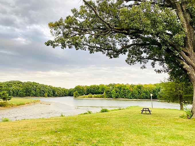 Lake Storey Park offers 411 acres of "ahhhh" moments, where a picnic table under a sprawling oak might be the best seat in Illinois.