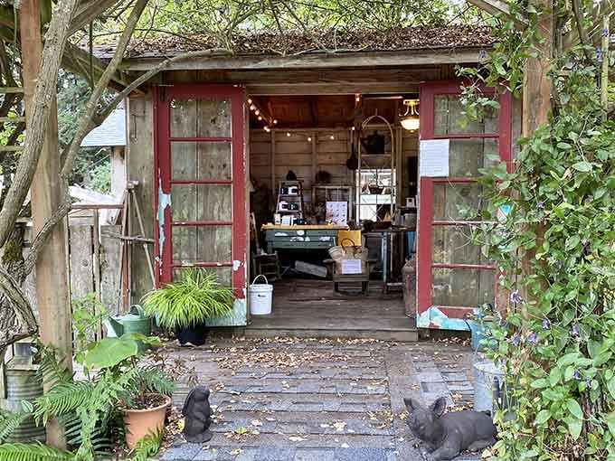 The Chocolate Flower Farm's rustic studio sits nestled in greenery, guarded by cats who take their duties seriously.