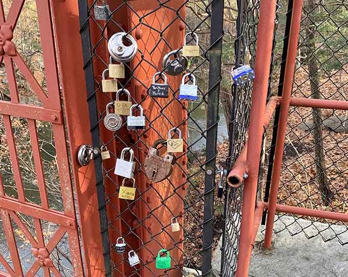 Love locks on the bridge turn romantic gestures into permanent fixtures, because apparently forever means something here.
