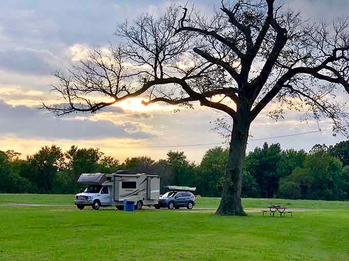 A lone tree stands sentinel over a camping spot where nature and affordability meet&mdash;no resort fees required.