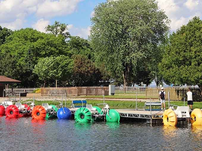 Menominee Park's colorful paddle boats wait patiently for families to burn calories while creating the illusion of nautical competence.