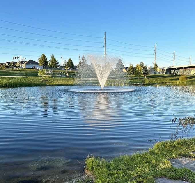 A fountain that doesn't require tossing away your retirement pennies. Mercy Park offers serene water features and green spaces for cost-free contemplation.