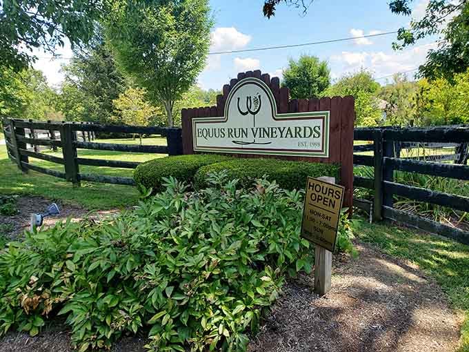 Equus Run Vineyards proves Kentucky does more than bourbon, and the horse country views are absolutely complimentary.