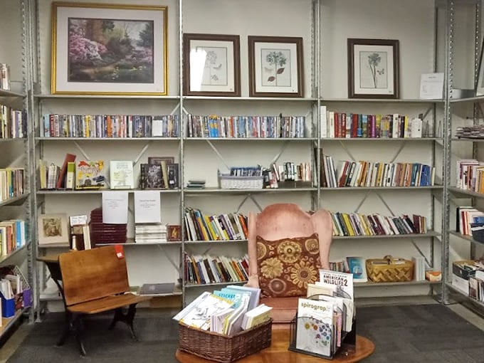 Books and framed art create a cozy corner where literature meets home decor in perfect harmony.