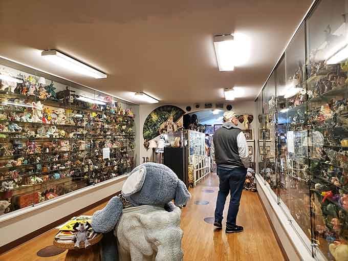 A life-sized stuffed elephant guards the hallway, because subtlety has no place in a museum with 12,000 pachyderms.