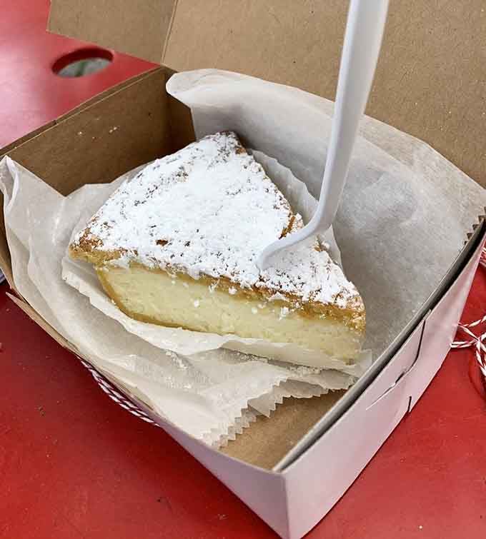 Ricotta pie dusted with powdered sugar, the kind of simple elegance that makes you wonder why dessert isn't breakfast.