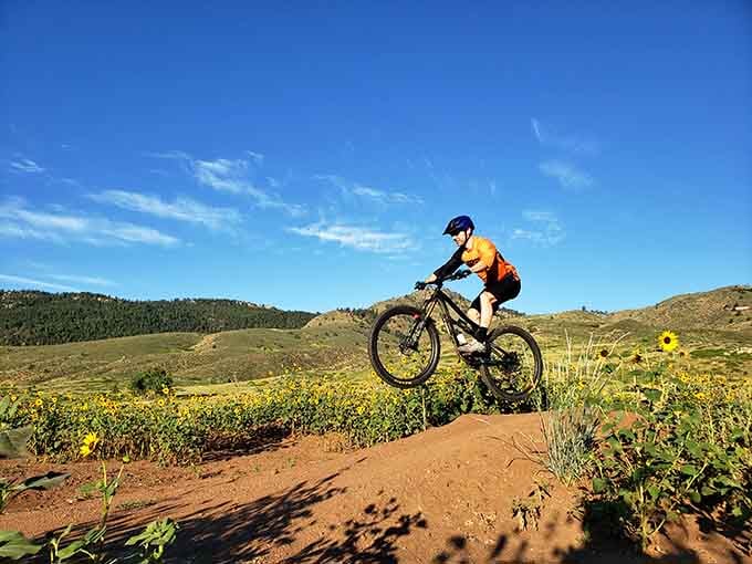 Mountain biking through wildflowers—where Colorado serves up its signature cocktail of adrenaline and beauty in equal measure.