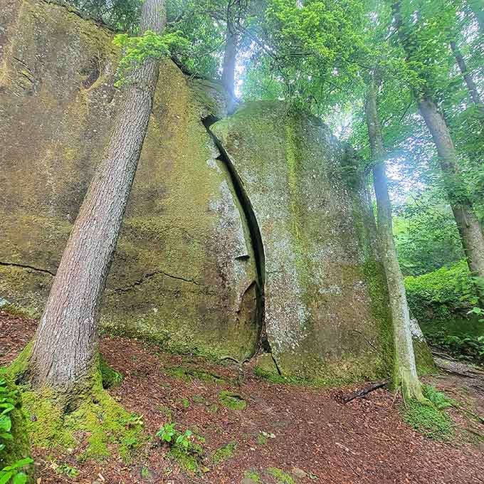 That crack in the stone tells stories of geological drama that make your family reunions seem downright peaceful.