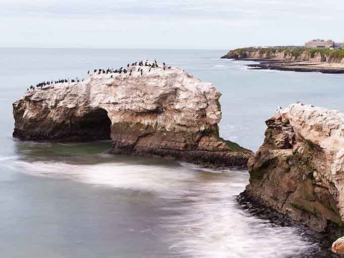 Seabirds treat this mudstone formation like it's the hottest nightclub in town, no velvet rope required.