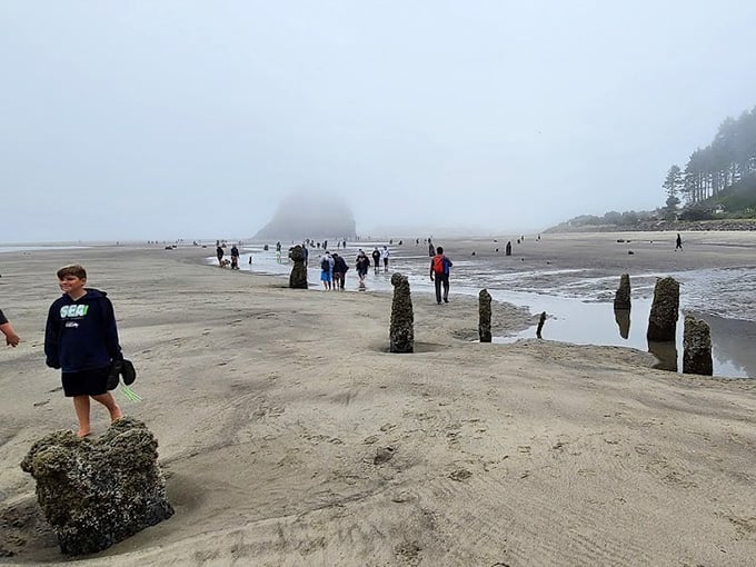 Low tide brings out the crowds, all eager to witness what earthquakes and time created together.