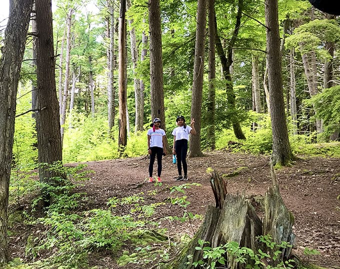 Two hikers discovering that the best conversations happen when you're surrounded by trees instead of traffic and screens.