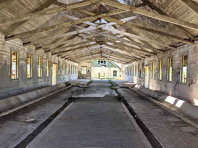 The gabled entrance beckons explorers into spaces where nature and human history now share equal billing.