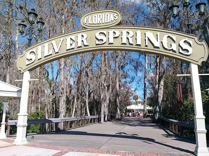 Silver Springs welcomes you to crystal-clear waters that have been Florida's best-kept secret for generations of visitors.