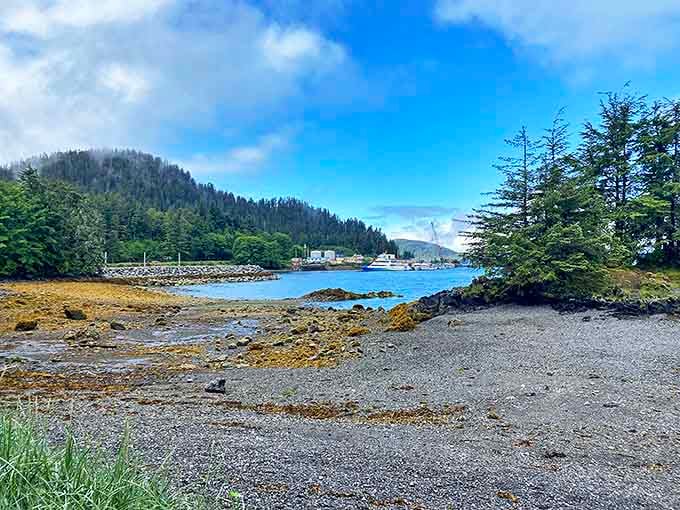 Where forest meets shoreline, Sitka offers quiet beaches perfect for contemplation or spotting the occasional sea lion lounging like it's on vacation.