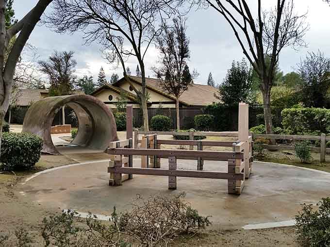Neighborhood parks like this one prove Fresno understands the importance of play—concrete tunnels never go out of style, even in the iPad era.