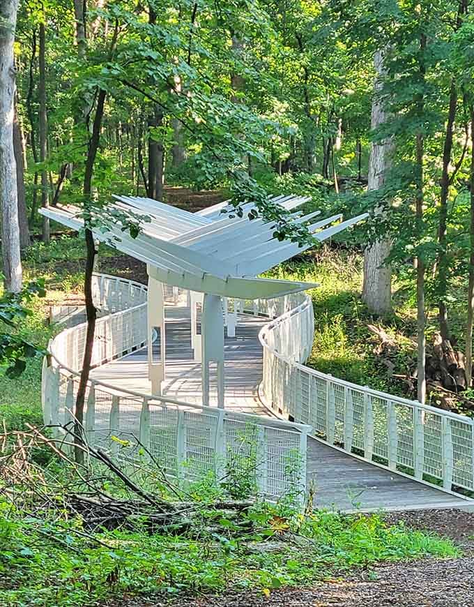 Modern boardwalks wind through ancient forests, making nature accessible without sacrificing the sense of wild discovery.