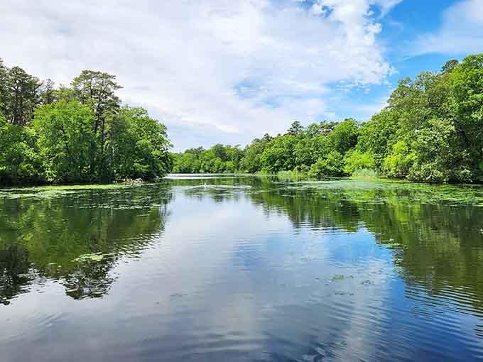 Mirror-like waters reflecting endless sky, the kind of view that makes you forget your phone exists.