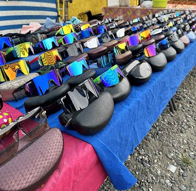 Sunglasses lined up like a rainbow of eye protection, proving style doesn't require a second mortgage.