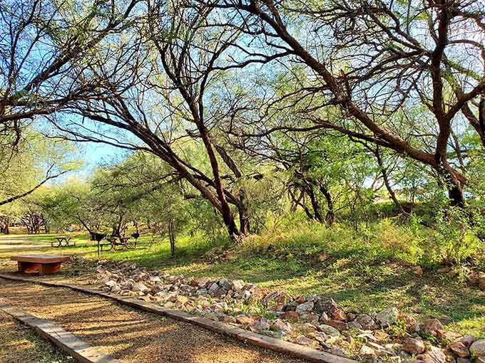 Shaded campsites under actual trees prove Arizona camping doesn't always mean baking like a potato in foil.