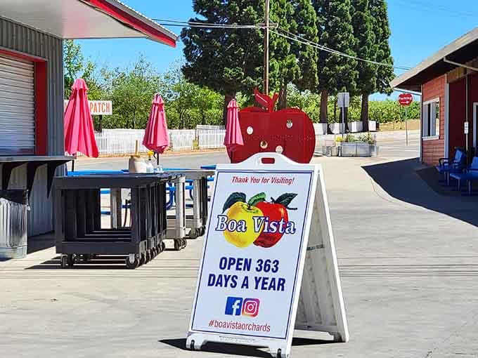 Boa Vista Orchards welcomes visitors with fresh fruit and the kind of hospitality that feels genuinely warm inside.