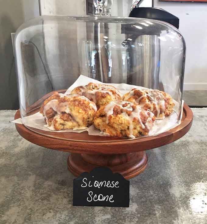 That Siamese scone under glass looks like it belongs in a museum, except museums don't let you eat the exhibits.