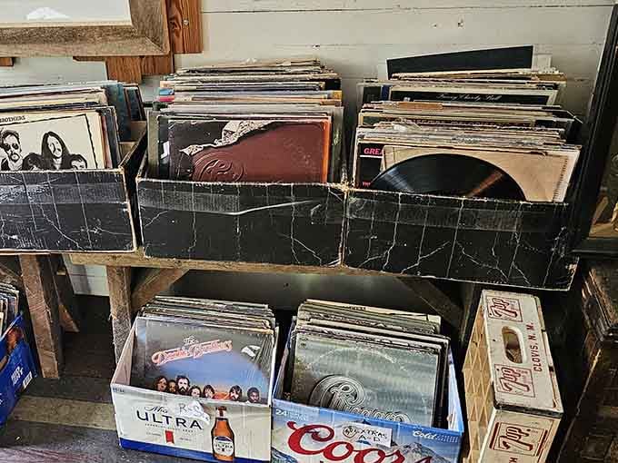 Vinyl records waiting to spin stories from decades past, because some things sound better with a little crackle.