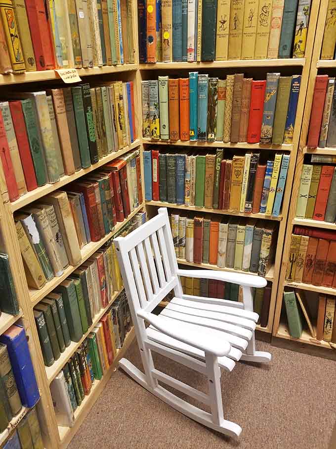 Vintage hardcovers in rainbow colors line wooden shelves like edible candy for your brain and soul.