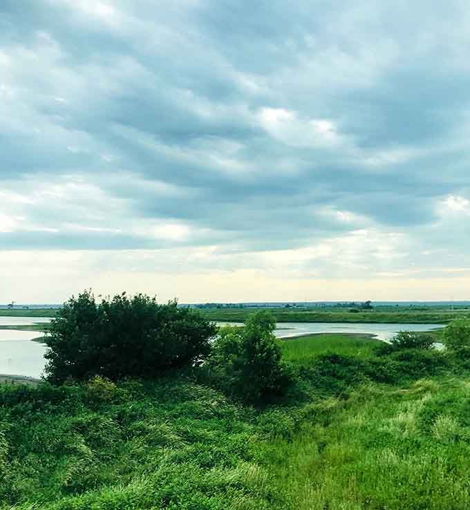 These wetlands stretch toward forever, proving that flat doesn't mean boring when nature's doing the decorating.