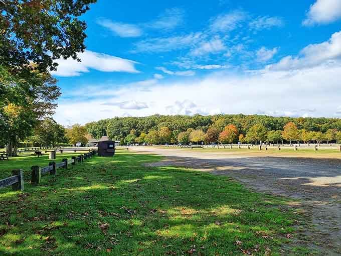 Your camping setup could look this good, assuming you remembered to pack literally everything you need.