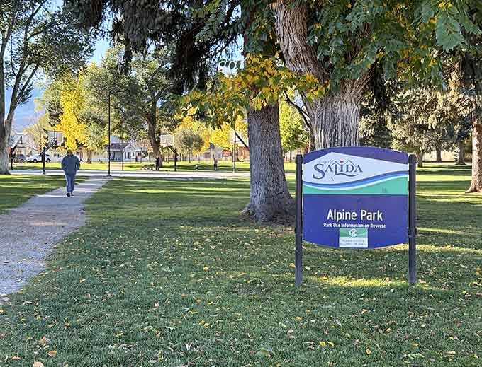 Alpine Park offers shaded paths perfect for contemplating life's important questions, like where to eat lunch.