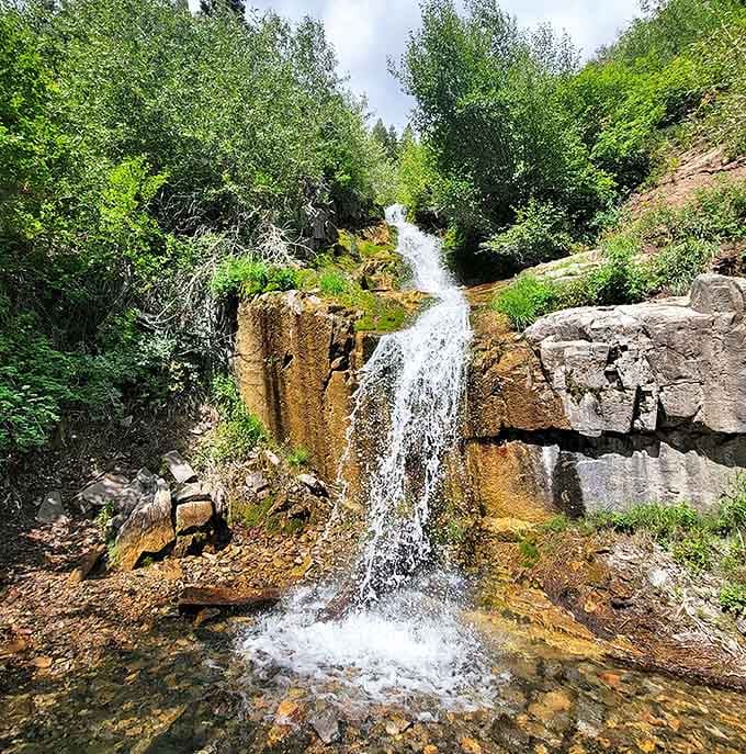 This hidden waterfall along Salt Creek Canyon Trail offers nature's perfect soundtrack&mdash;rushing water that drowns out all thoughts of deadlines and emails.