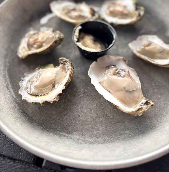 Fresh oysters on the half shell, glistening and ready, are nature's way of reminding you why the Gulf Coast exists.